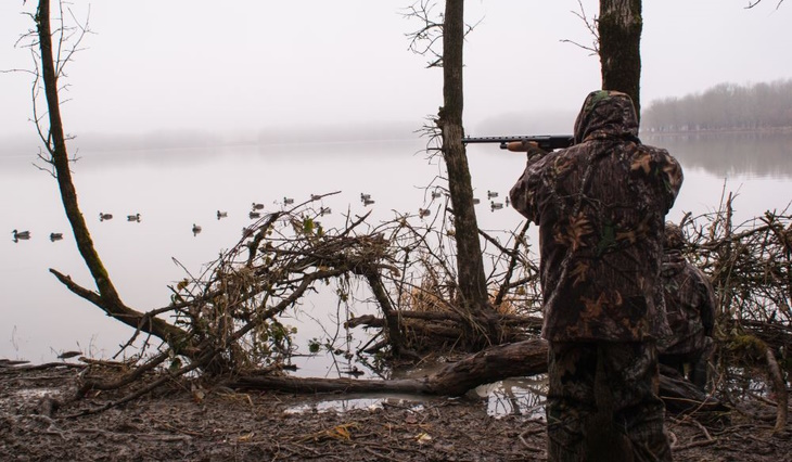 Duck shooting – Animal Liberation South Australia